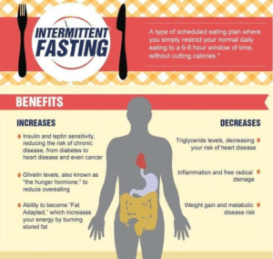 Intermittent Fasting for Bodybuilders - Protein Bars